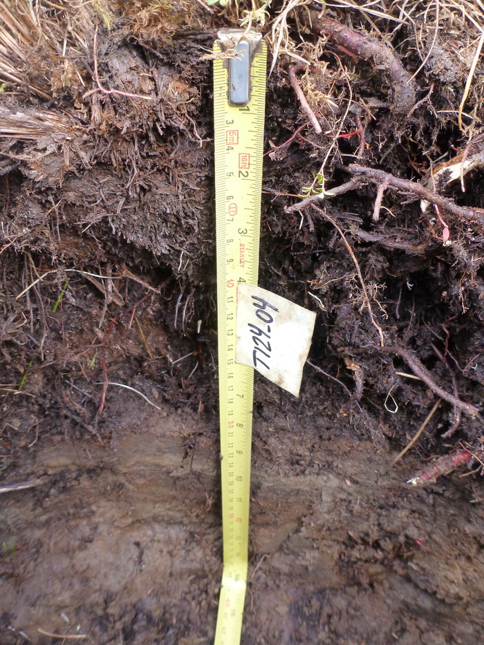 Tussock and Frost Hummock Cross-section Photos – Elfinwood Ecology