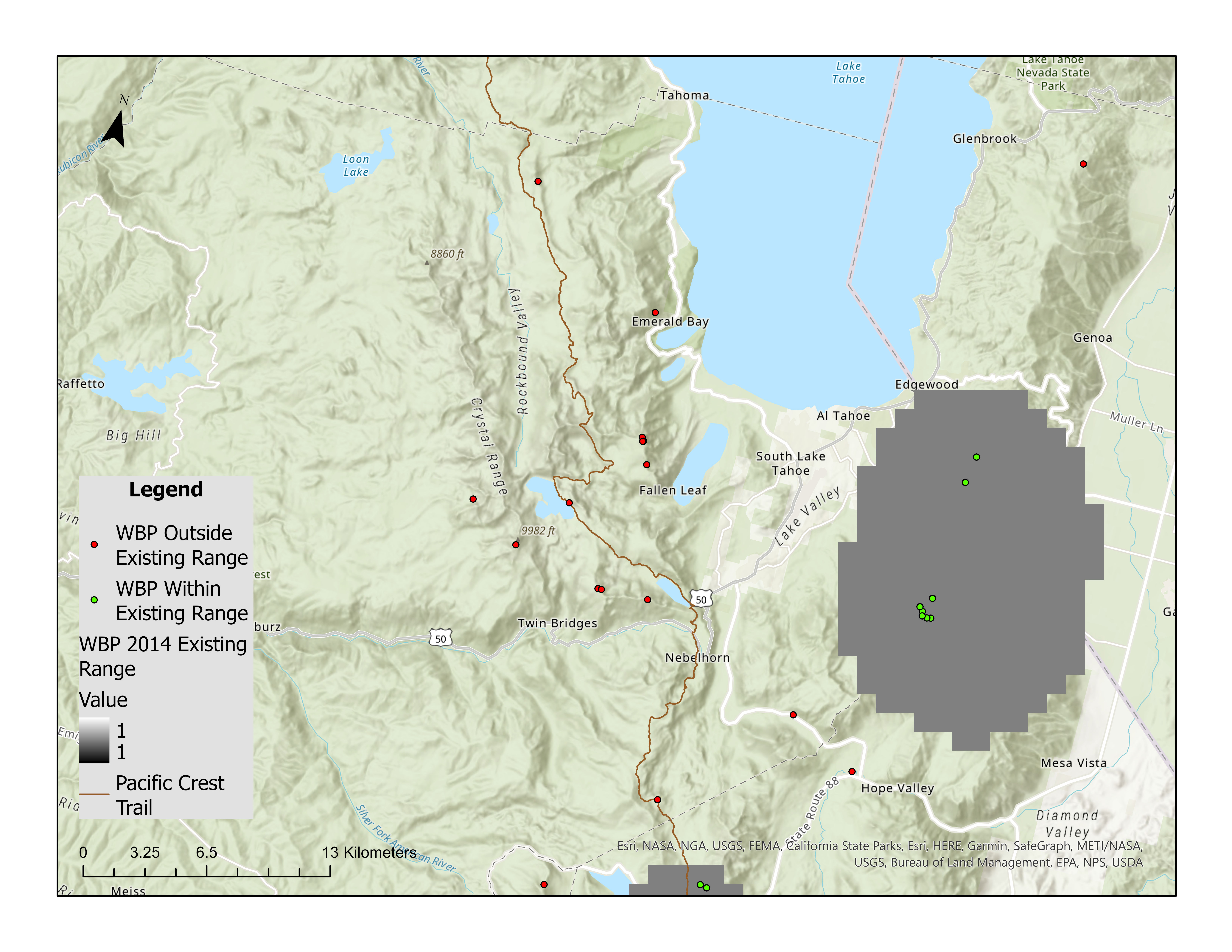 Mapping Whitebark Pine using Citizen Science Data – Elfinwood Ecology
