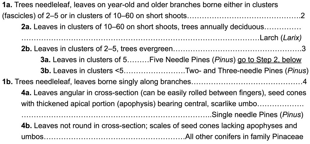 Identification guide to the 5 needle pines of western North America ...