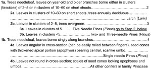 Identification guide to the 5 needle pines of western North America ...